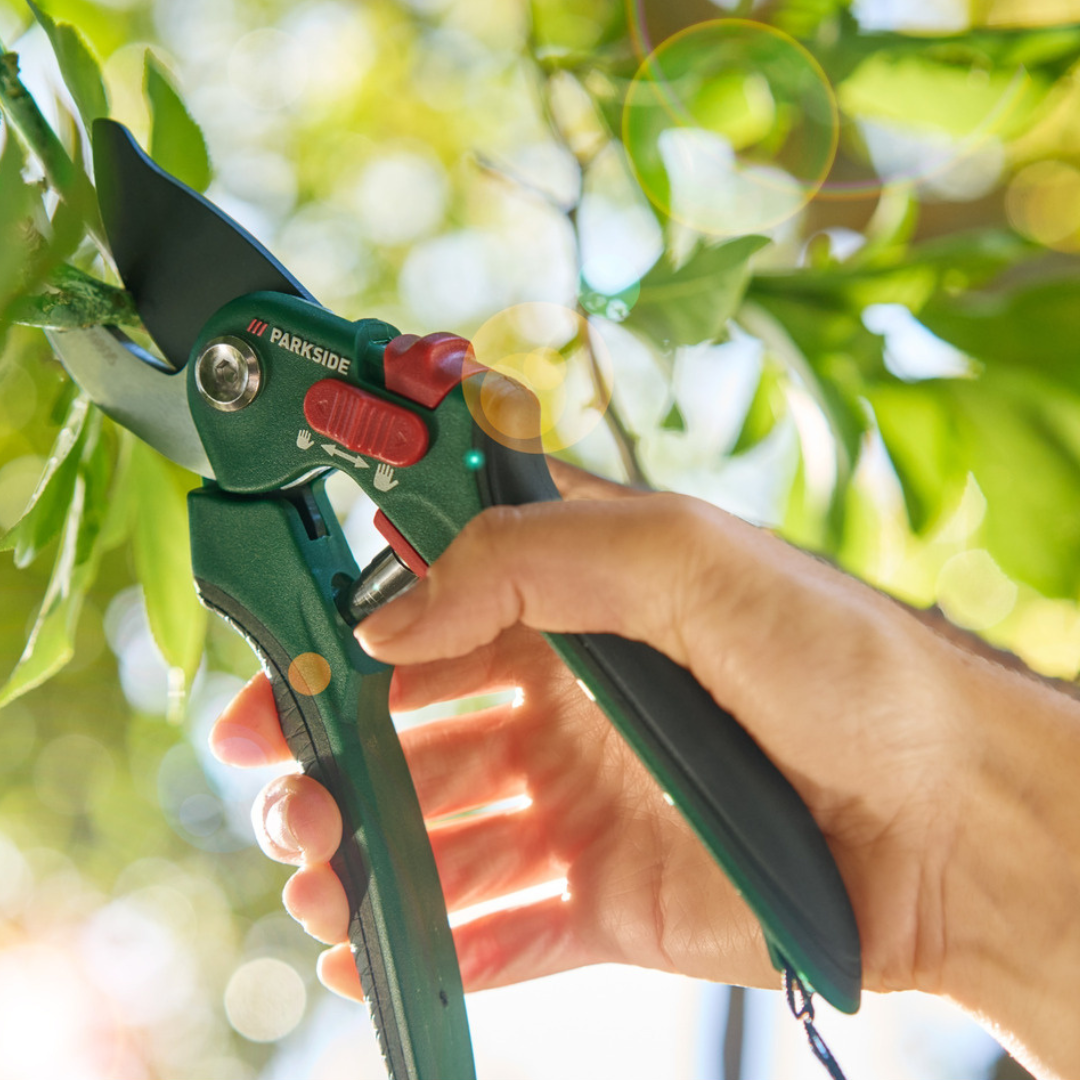 Parkside Pruning Shears European House Hold